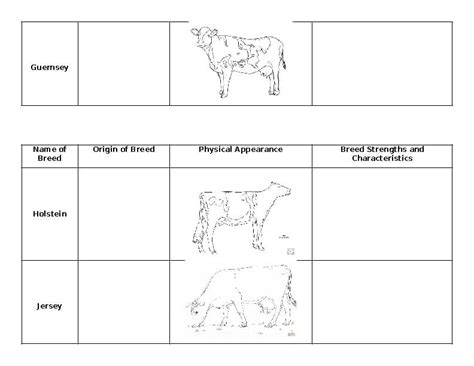 Dairy Cattle Breeds Chart By Agriculture With Ms Boyer Tpt
