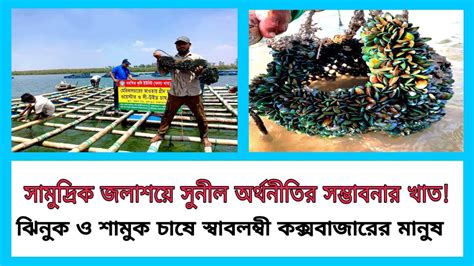 কক্সবাজারে জলাশয়ে ওয়েস্টার গ্রীণ মাসেল ও সীইউড চাষে ভাগ্যবদল Youtube