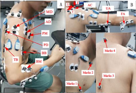 Figure 1 From A Continuous Estimation Model Of Upper Limb Joint Angles By Using Surface