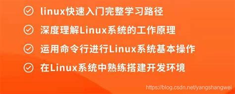 Linux Raid0Raid1Raid5Raid10初探 阿里云开发者社区