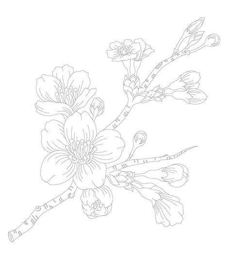 Japanese Style Dragon Adult Coloring Page Free Illustration 474612