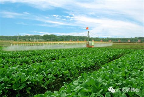惠州市农业农村发展概况