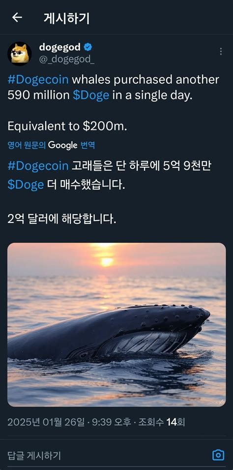 도지코인 고래 도지코인 2억달러치 매수 코인니스