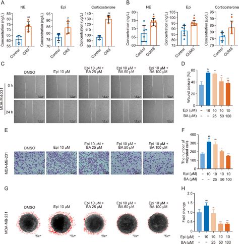 Figure 1 From Baicalin Reduces Chronic Stress Induced Breast Cancer