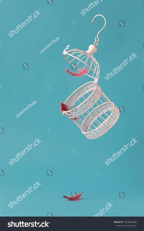 Open Empty Birdcage Where Imprisoned Bird Foto Stok 1818364088