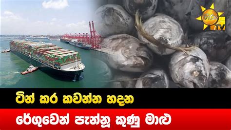 ටින් කර කවන්න හදන රේගුවෙන් පැන්නූ කුණු මාළු Hiru News Youtube