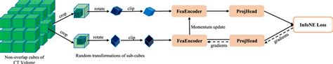 region based contrastive learning framework for lung nodule detection