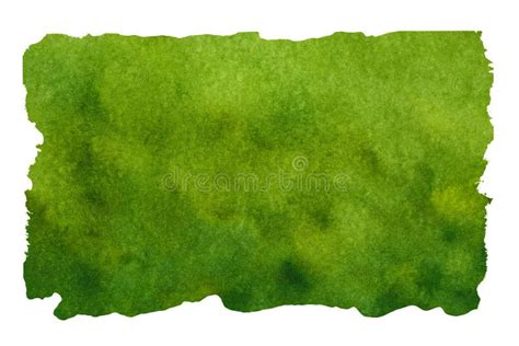Landscape Green Watercolor Grass Field With Blur Trees Background Stock