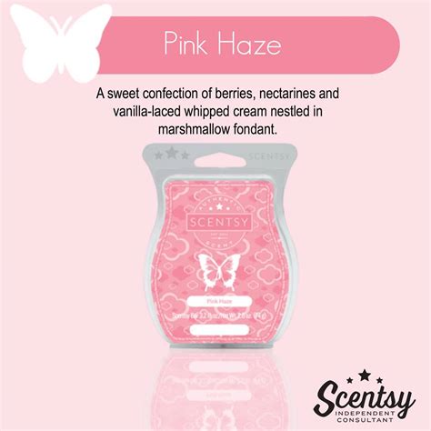 Mix And Match Pink Haze And Clothesline Scentsy Fragrance Melissa
