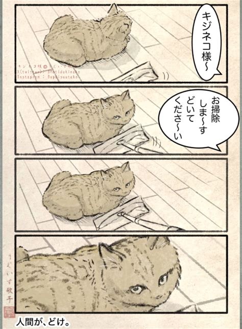 掃除 今日もネコ様の圧が強い キジネコ様 キジネコ様の漫画