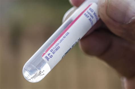 Em 45 dias casos de dengue em Curitiba já são mais da metade do total