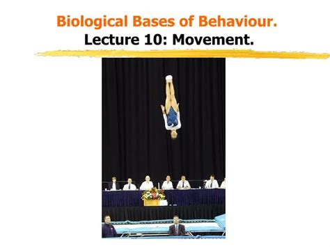 Ppt Biological Bases Of Behaviour Lecture 10 Movement Powerpoint Presentation Id5177565