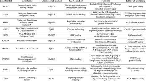 Genomic And Functional Details On The Common Essential Genes In Mpm