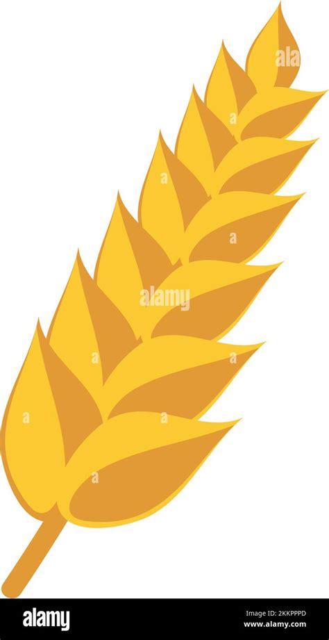 Wheat Branch Design Stock Vector Image And Art Alamy