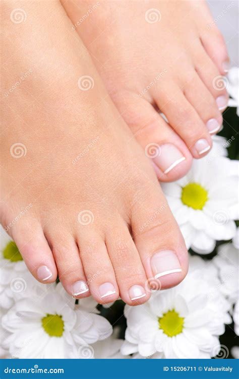 Feet With The French Pedicure And Flowers Stock Image Image Of