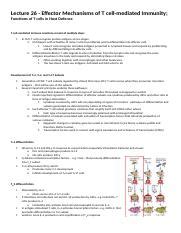 Lecture Effector Mechanisms Of T Cell Mediated Immunity Functions Of T Cells In Host