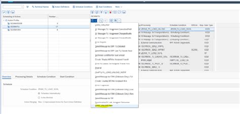 Sap Abap Central Steps To Create Ppf Action Schedule Condition In Sap