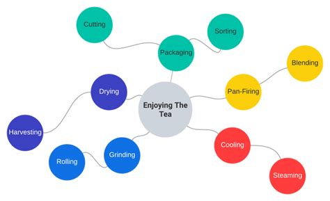 The Tea Production Process