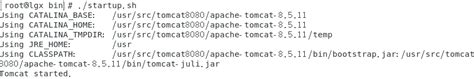Linux中tomcat启动后无进程、无法访问linux Tomcat显示启动成功但没有进程 Csdn博客