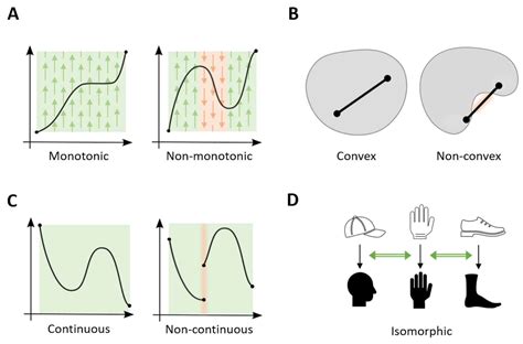 Arithmetic Has A Biological Origin Its An Expression In Symbols Of