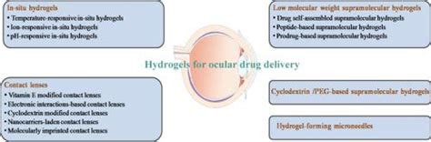 用于治疗眼部疾病的基于水凝胶的眼科药物递送系统 Biomaterials Advances X Mol
