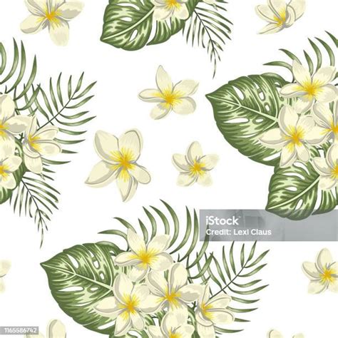 흰색 배경에 플루메리아 꽃녹색 열대 잎의 벡터 원활한 패턴입니다 여름 또는 봄 반복 열대 배경 트렌디 한 이국적인 정글 장식 0명에 대한 스톡 벡터 아트 및 기타 이미지