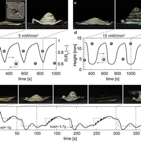 Innervated Lce Fibers A Schematic Illustration Of Core Shell 3d Download Scientific Diagram