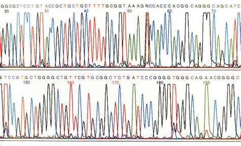 Chromatogram Art Pixels
