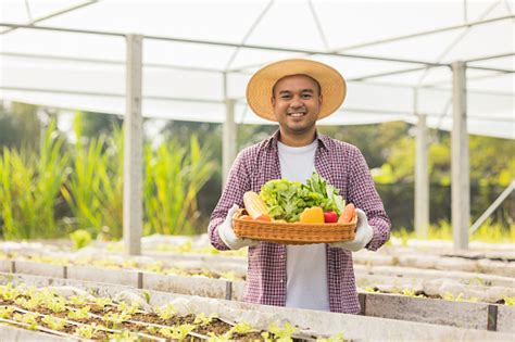 신선한 채소로 가득 찬 바구니가 있는 채소 밭 앞에 아시아 농부가 서 있습니다 온실에서 야채 수확 시즌까지 농업 농부에 대한 스톡 사진 및 기타 이미지 Istock