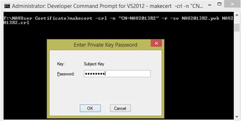 nav 2013 r2 windows client with navuserpassword introduction