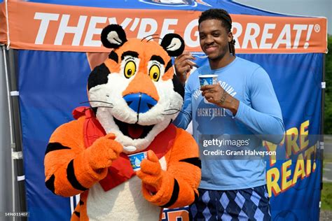 Frosted Flakes Tiger Logo