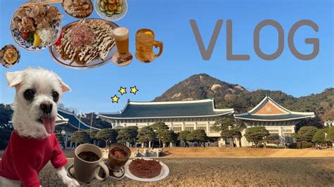Vlog 일상브이로그 늦가을 청와대개방 구경가기💙 강아지 산책은 선택아닌 필수🤎 주말 삼각지 데이트🍻 친구 임신축하 선물하기👶🏻 Youtube