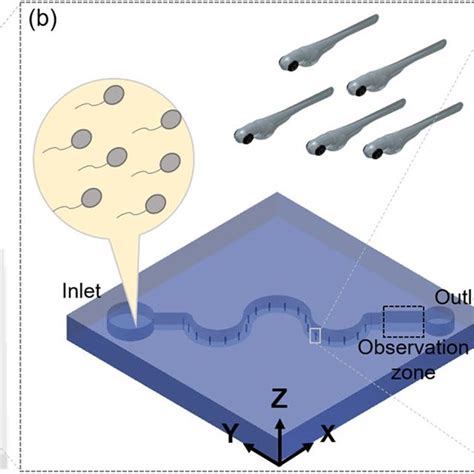 A A Magnetic Actuation System Which Consists Of Four Electromagnetic Download Scientific