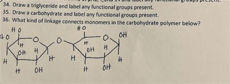 Solved Draw A Triglyceride And Label Any Functional Chegg