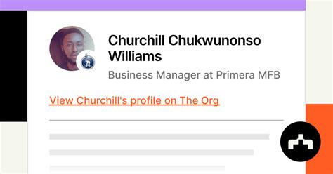churchill chukwunonso williams business manager at primera mfb the org