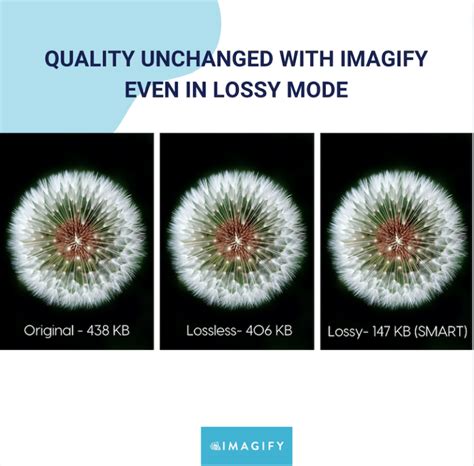 Lossy Vs Lossless Image Compression Whats The Difference