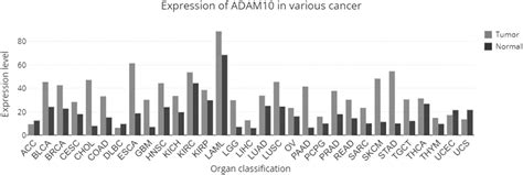 Elevated Expression Of Adam10 Induced By Hpv E6 Influences The Prognosis Of Cervical Cancer