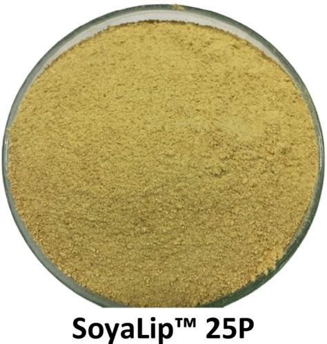 Retailer Of Soya Phospholipids Phosphatidylcholine Lecithin Powder