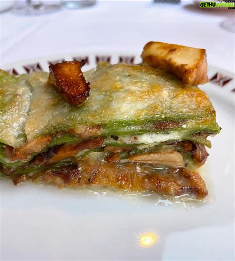 Aiste Miseviciute Wiki Biography Age Gallery Spouse And More