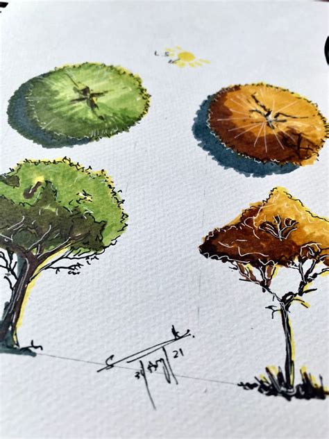 Tree Rendering Sketch Treesketch Archscapez Trees Drawing Draw Drawingchallenge Colour