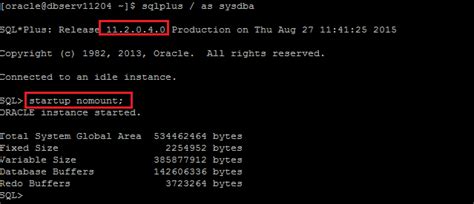 Upgrade Oracle Database From 11 2 0 1 To 11 2 0 4 Using Rman Backup Wadhah Daouehi