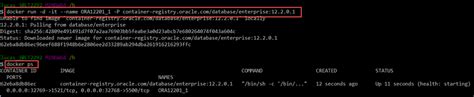 Run Oracle Database In Docker Using Prebaked Image From Oracle