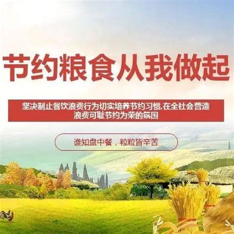 创建文明城区 提倡健康饮食 制止餐饮浪费——首师大附属苹果园中学 周食谱公示20220913 0916用餐科学苹果园中学
