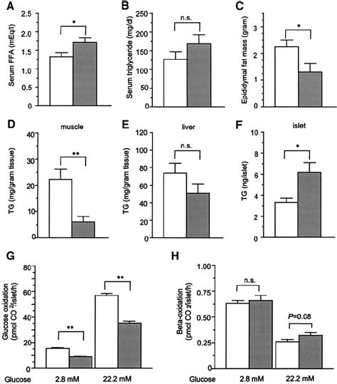 Serum Ffa And Tg Levels And Tissue Tg Content A And B Serum Ffa A