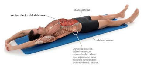 Cómo Estirar Abdominales Antes Y Después De Entrenar Jl Fisios