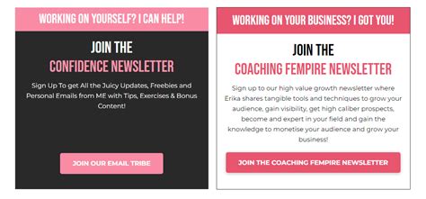 How Erika Cramer Created Her Sistahood And Earns 90k 100k Per Month Course Method