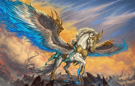 Pegasus Foto Pegasus Bilder Auldou