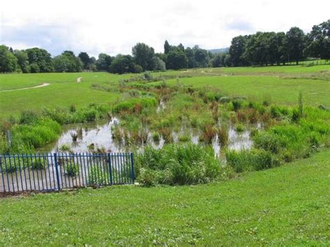 The Role Of Flood Storage Basins In Protecting Homes Killingley