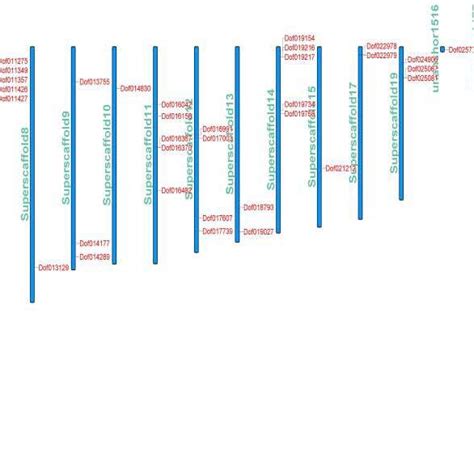 Sequence Alignment Of Dendrobium Officinale Wrky Transcription Factor