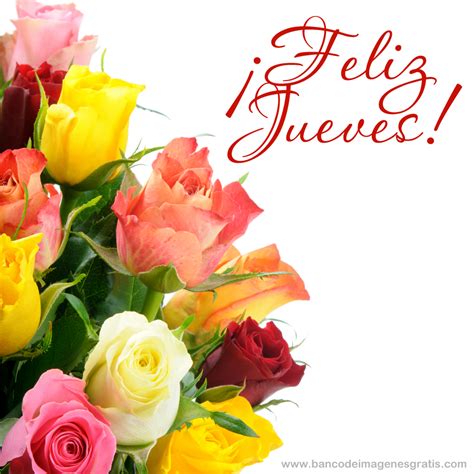 12 Postales De Feliz Jueves Con Flores Y Efectos Especiales